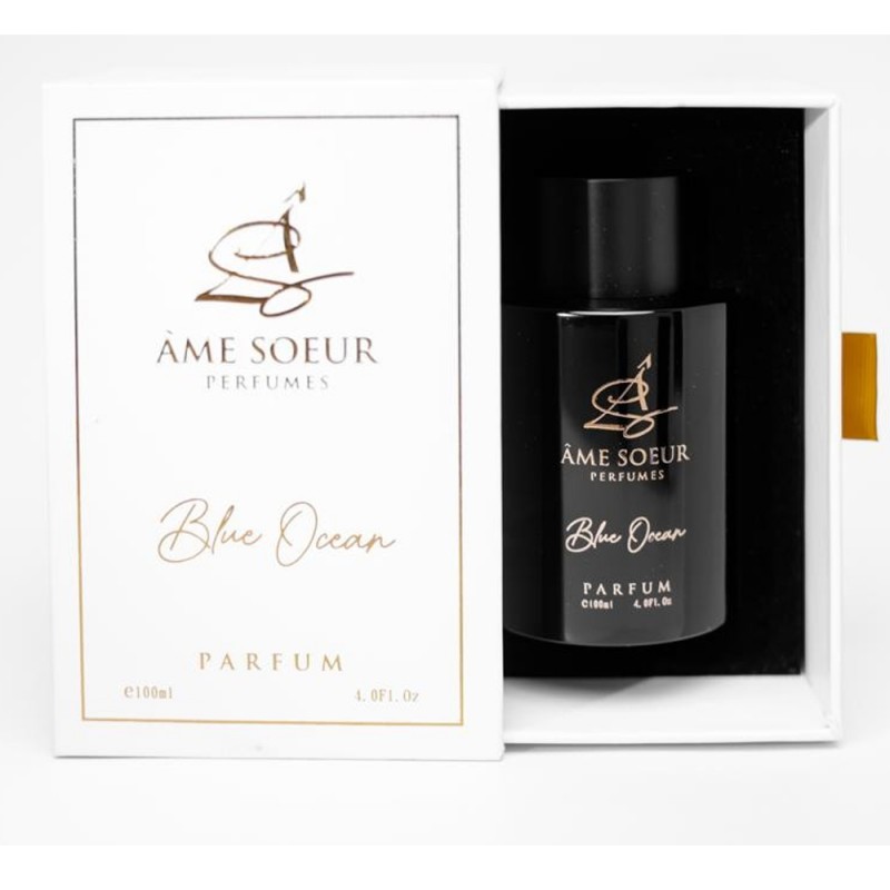 BLUE OCEAN AME SOEUR PERFUMES 100ML FOR MEN - Mart Online Shop